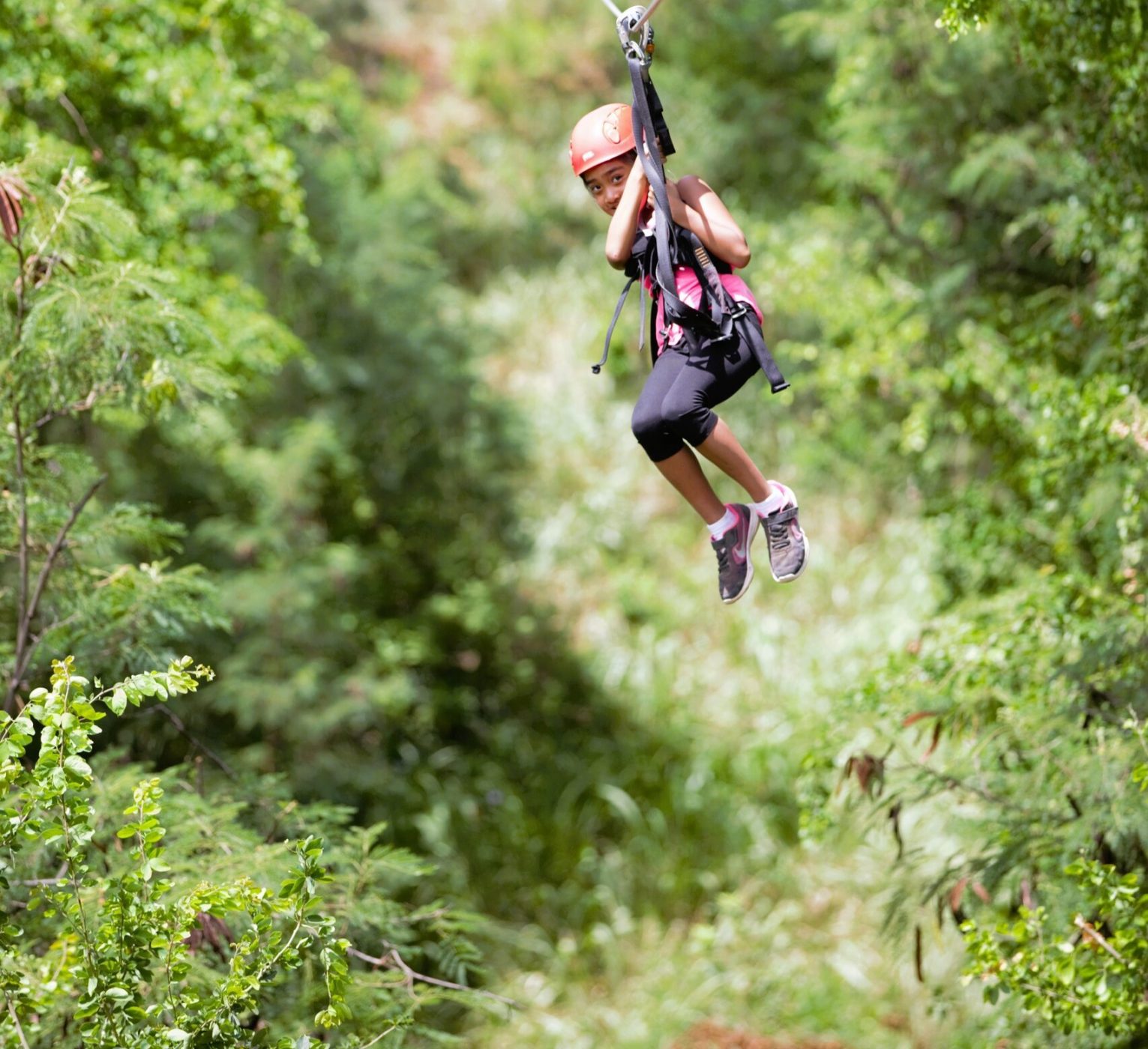 Zip & Dip - Adventure Tour in Honululu, Hawaii | Malama Tours
